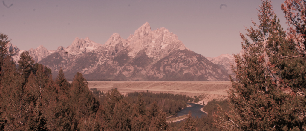 Homepage - Bill Hutchins